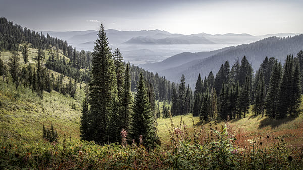 Teton Pass by Randy Wayman | 500px