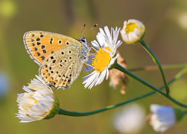 by Boris Novikov / 500px