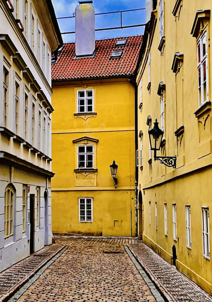 Walk in the fog by Christos Lamprianidis / 500px