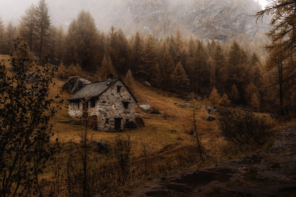 Walk in the fog by Christos Lamprianidis / 500px