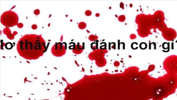 nam mo thay mau by 6686 Guide / 500px