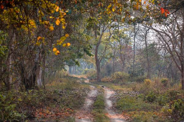 Pagdandi by Sudipta Chakraborty / 500px