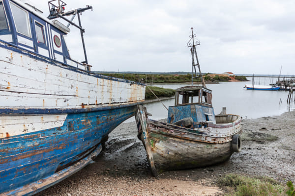 Two old brothers by Jorge Orfão / 500px