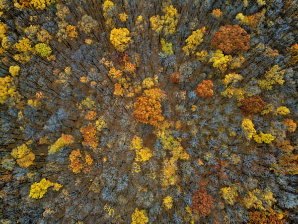 Autumn Symphony in F minor by Lucie Gagnon | 500px