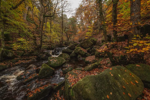 Padley Gorge, Hope Valley Derbyshire. by Les Wiggin / 500px