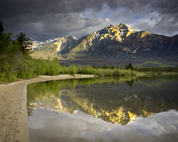 Stephen Stringer CPAGB's Photos & Galleries | 500px