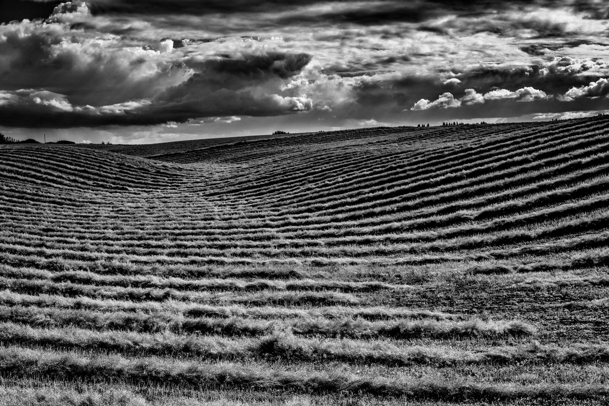 Monocrome Patterns by Drew May / 500px