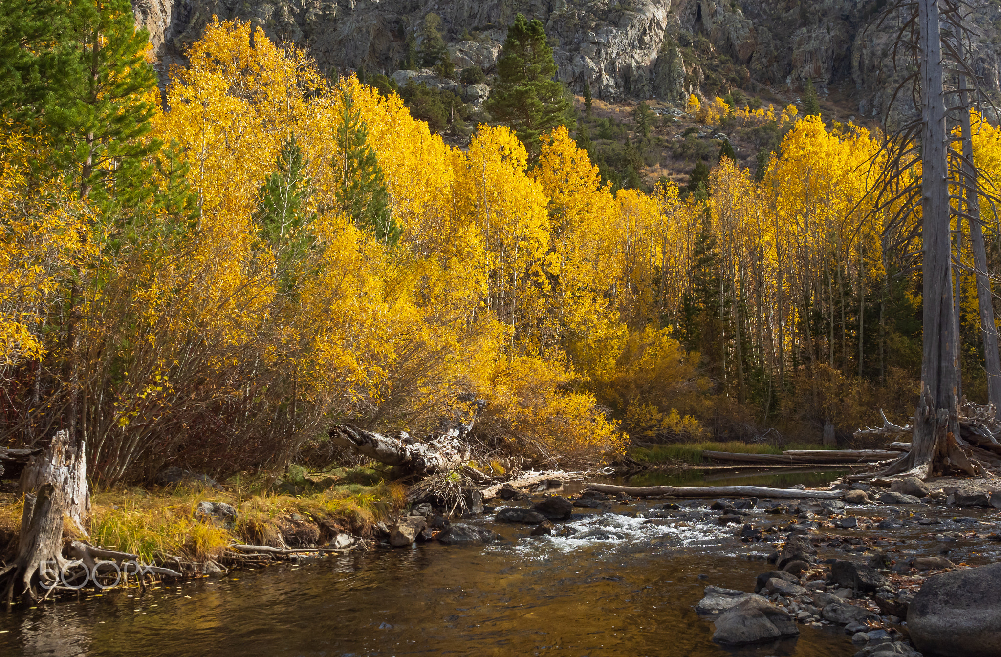 Rush Creek by Steve R / 500px