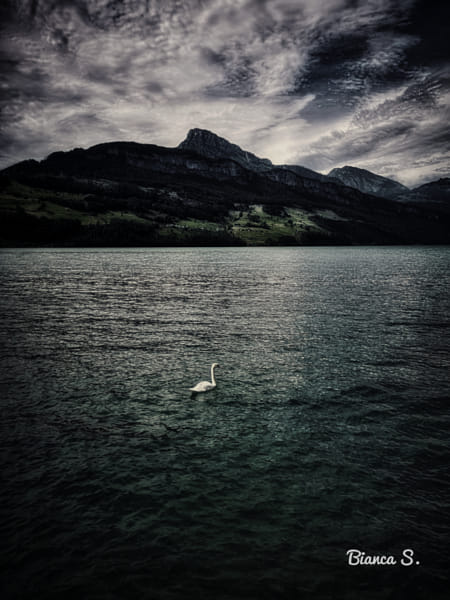 Traces by Ruslan Mukhambetov | 500px