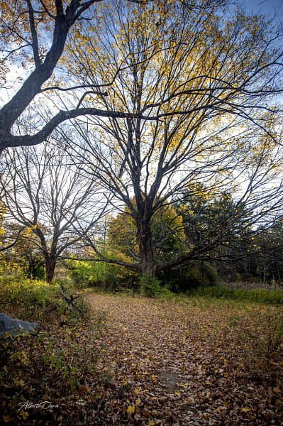 _DSC1723 by Alberto Osorio / 500px