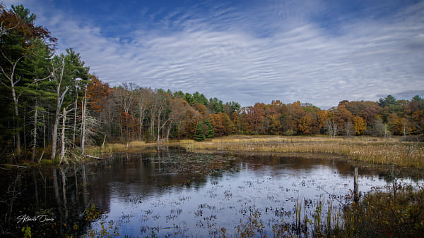 _DSC1563 by Alberto Osorio | 500px