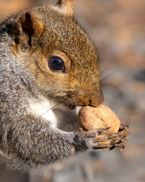 Cursory Inspection by Dennis Bartsch / 500px