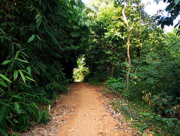 Road by BP exploration | 500px