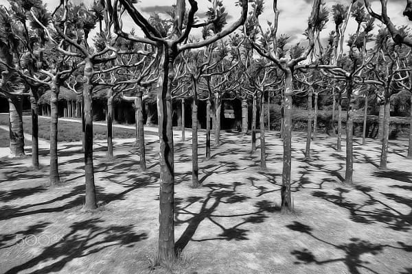 Ensemble by arvin_garrison | 500px