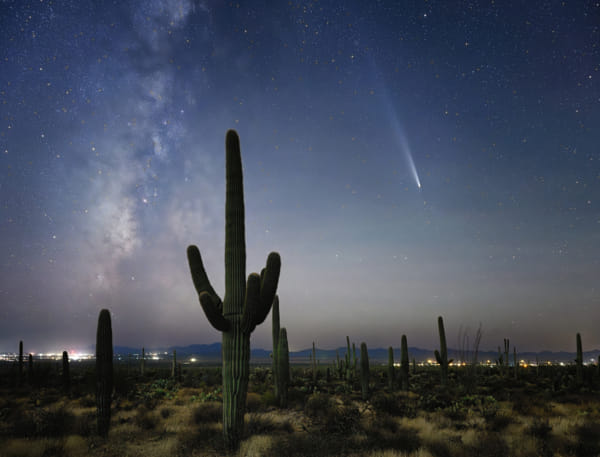 Milky Way and Comet Over Desert Cacti at Night | nature photo by Fred ...