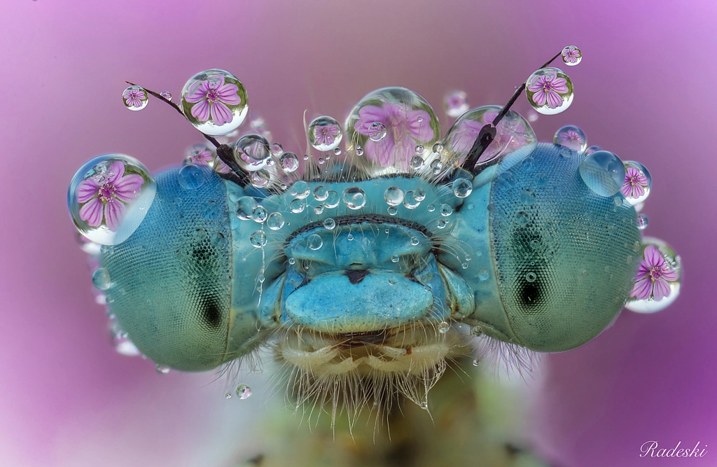 Colorita by Roberto Aldrovandi / 500px