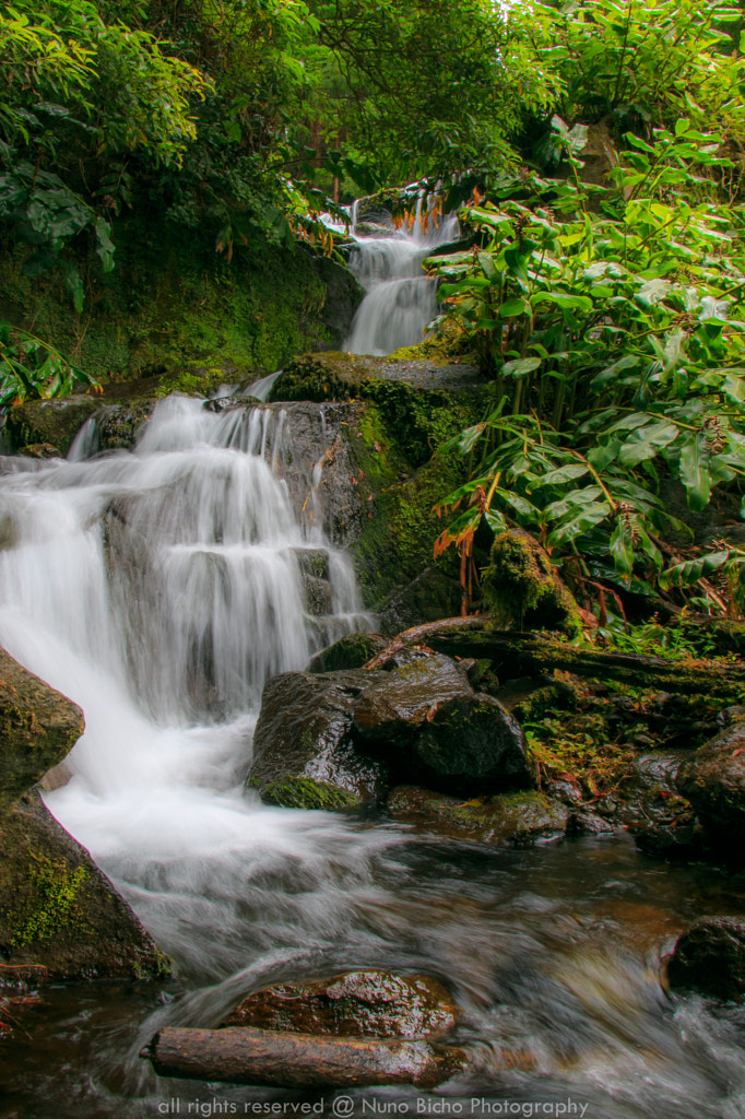 Water - the blood of the earth by Nuno Bicho / 500px