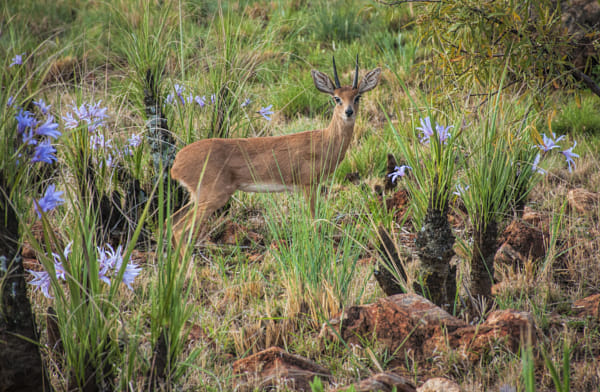 Barry Barclay's Photos & Galleries | 500px