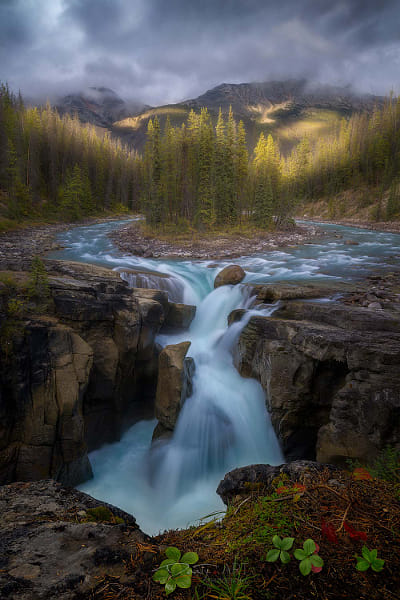 Majestic Waterfall in a Forest Landscape | landscape photo by ...