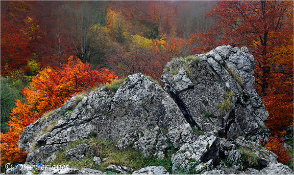 Rincones de Otoño - Autumn Corners by Josu Perianes / 500px