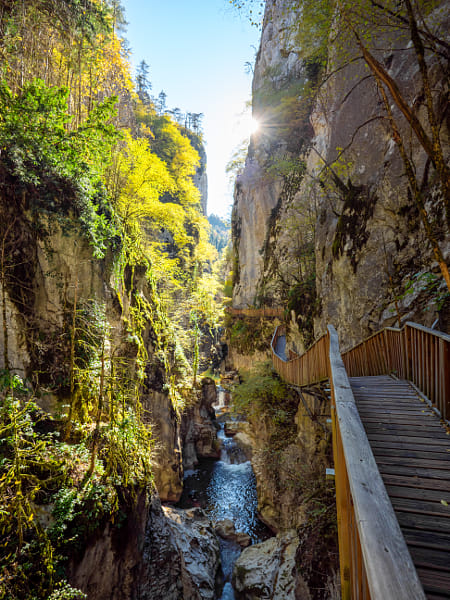 A breathtaking view of the canyon with wooden walkway running along its ...