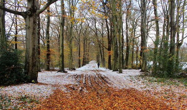 End of autumn and beginning of winter by Oomke Wiltjer / 500px