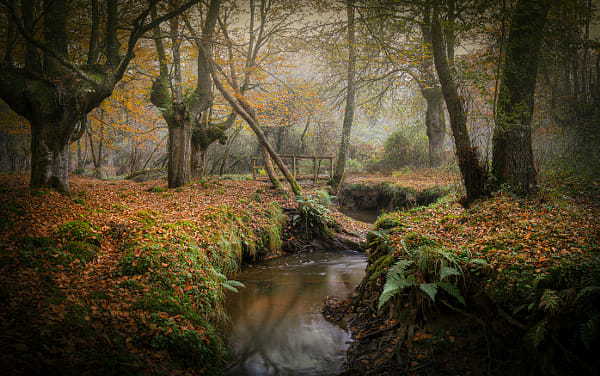 Autumn time... by Ana Rivero | 500px