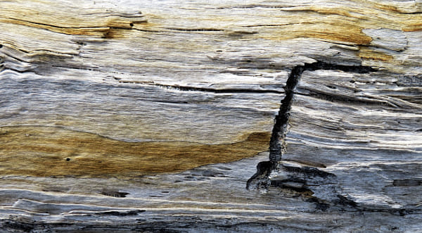 Abstract Patterns of Weathered Wood Texture | still life photo by Tim ...