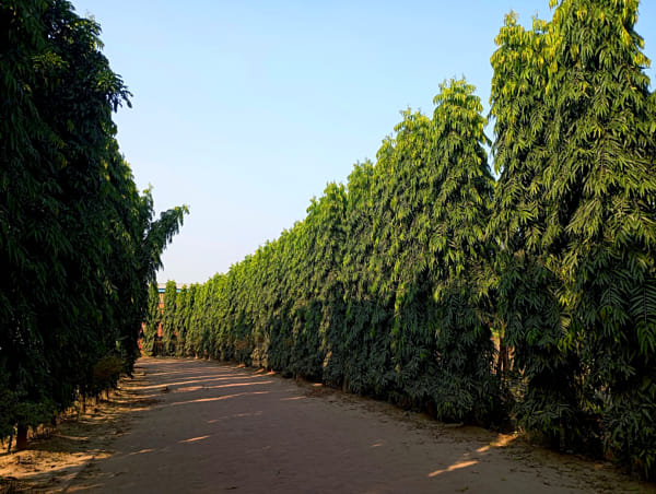 Road by BP exploration | 500px