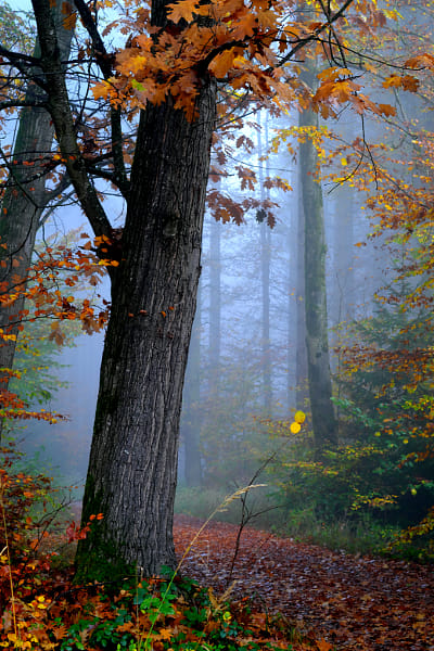 Autumn Hike by Peter Morhart / 500px