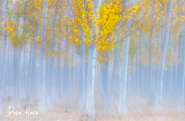 New Wave by David Swindler | 500px