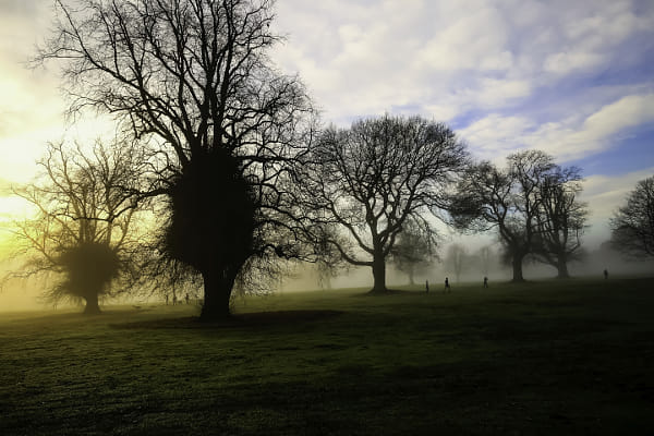 Ensemble by arvin_garrison | 500px