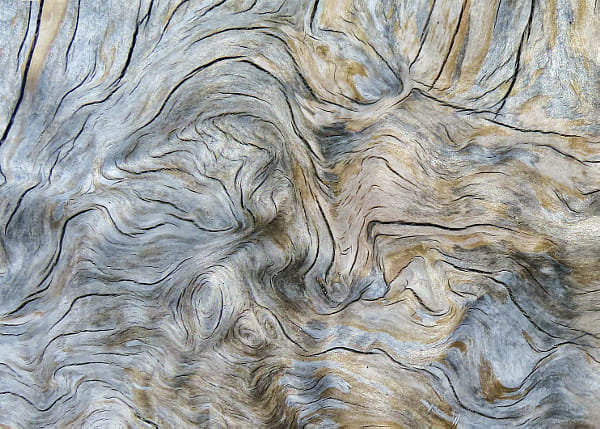 Abstract Wood Grain Swirls | still life photo by Tim Pierce | 500px