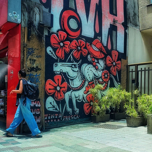 Sunset Fox by Nate Chappell | 500px