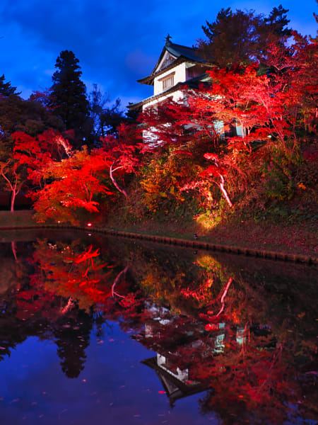 autumn color of leaves by shoji uno | 500px
