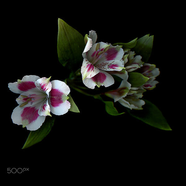 Aerial by Jeff Dotson | 500px