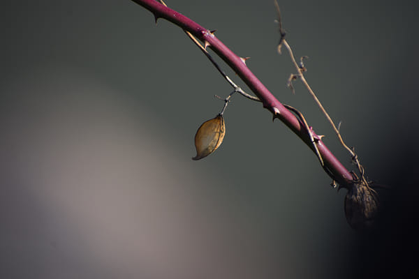 State Line Lookout, Palisades Interstate Park Commission by David | 500px