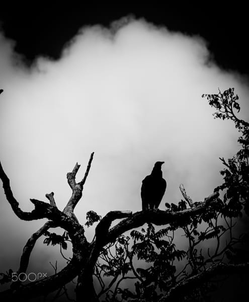 Side view by Ednar Fotografias | 500px