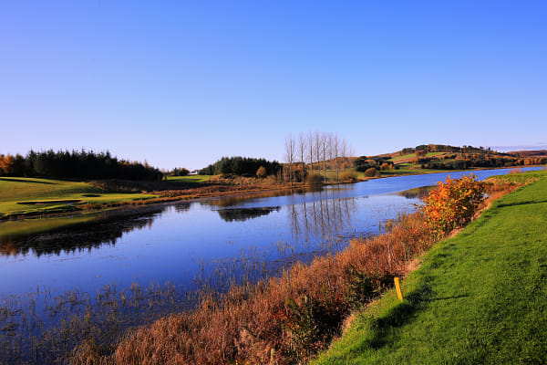 Ensemble by arvin_garrison | 500px