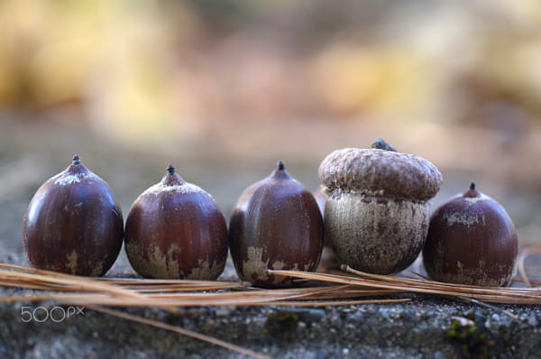 "fun one" by Patrick Smith | 500px