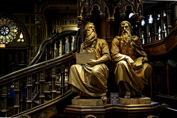 Three Pink Calla Lilies by Philip Opdebeeck | 500px