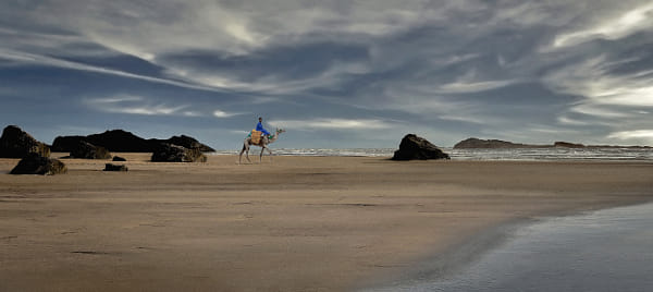 The mirage of the feather merchant follow the sun. by Francesc Candel ...