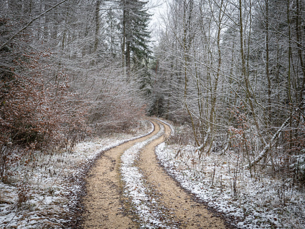 P1000062 by Andreas Streich | 500px