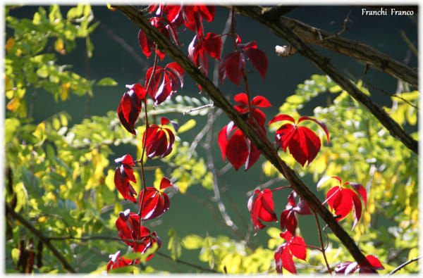 Striscia rossa by Franco Franchi | 500px