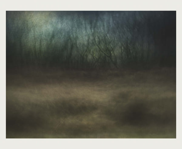 pale light through vague trees by Ed M | 500px