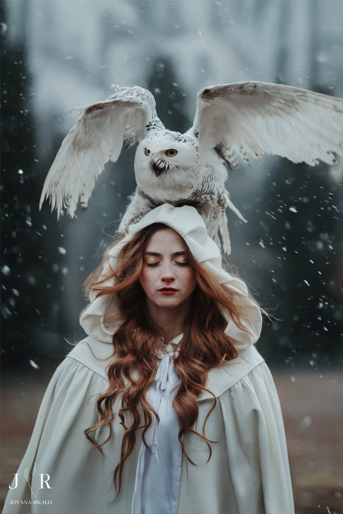 Owl Magic by Jovana Rikalo | 500px