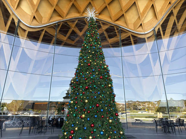 Christmas tree at Bunjil Place by Matt Leane | 500px