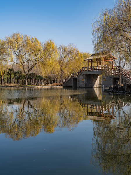 Scenic view of lake by trees against clear sky by Ruiqi Yang | 500px