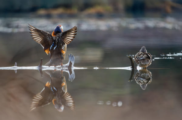 Symmetrical :) by Anne Geier | 500px