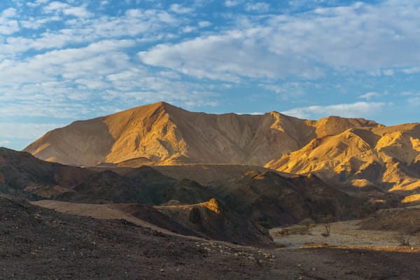 DSC07055 by Alex Finkelberg | 500px